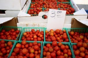 What is a CSA? The Ultimate Guide to Local Farm Shares