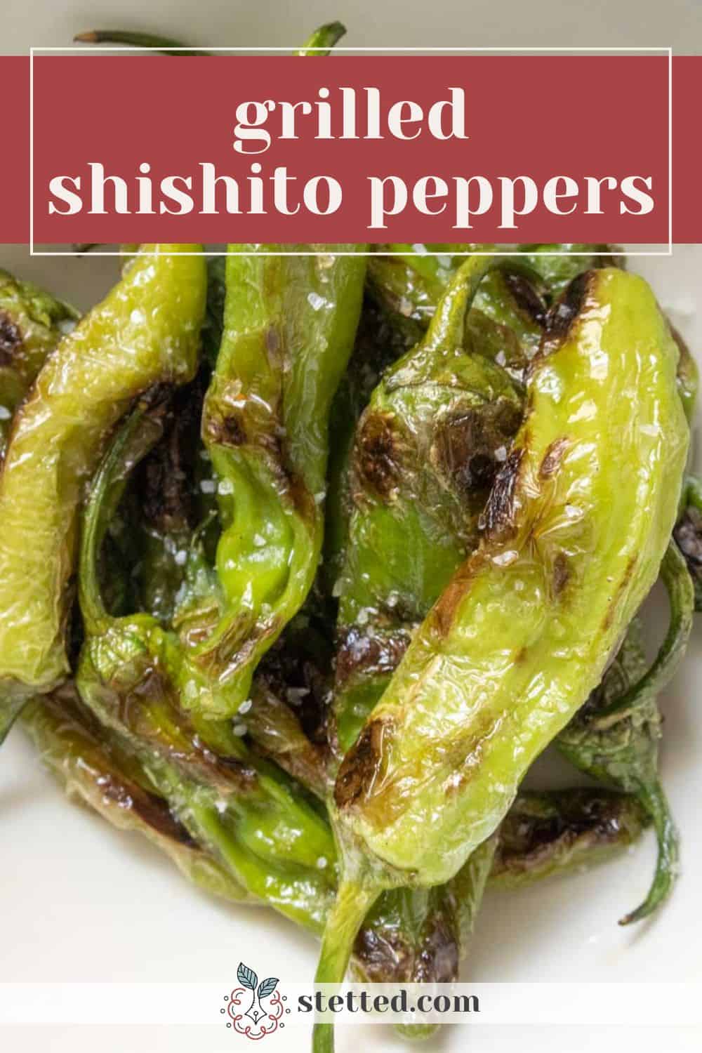 Grilled Shishito Peppers - Stetted
