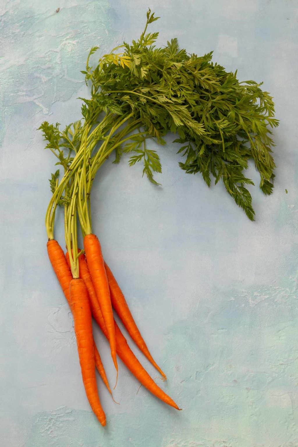Carrot Top Pesto