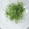 How to Dry Chives - stetted