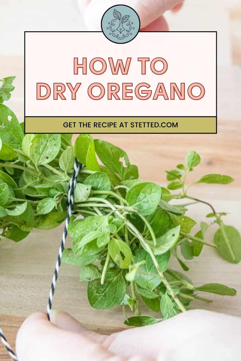 How to Dry Oregano - stetted