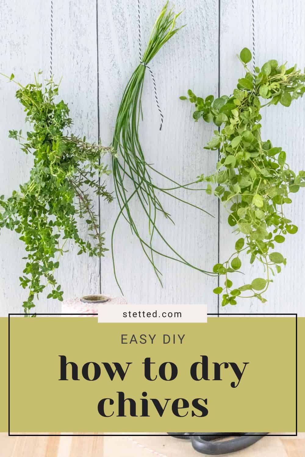How to Dry Chives - stetted