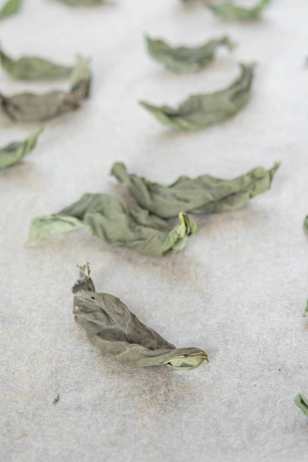 How to Dry Basil (4 ways!) - stetted
