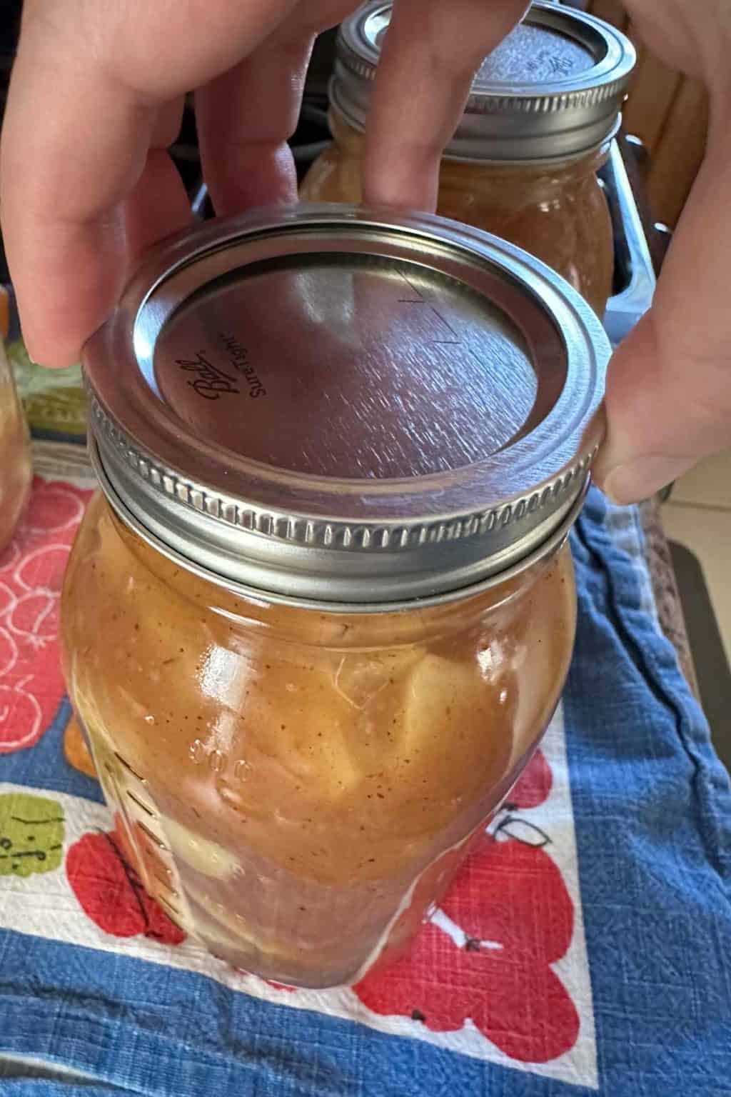 Apple Pie Filling - stetted