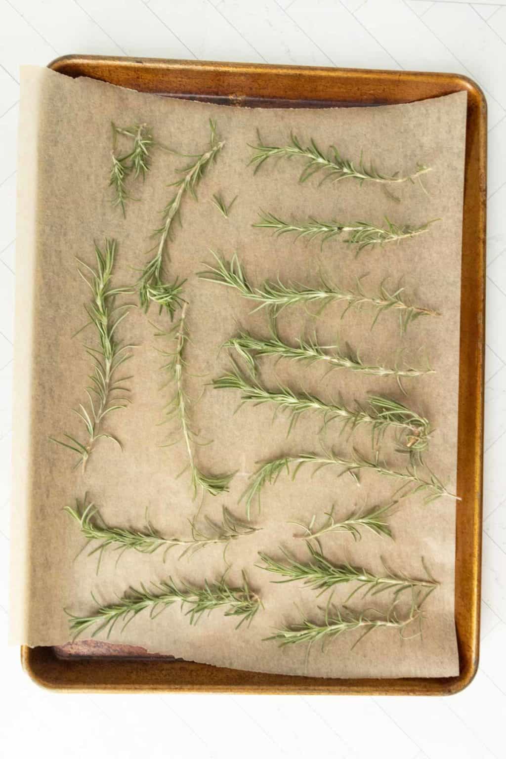 How to Dry Rosemary {4 Methods} - stetted