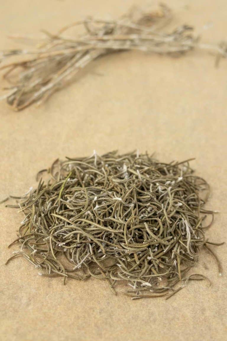 How to Dry Rosemary {4 Methods} - stetted