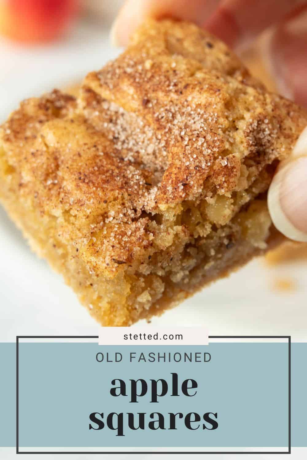 Old Fashioned Apple Squares - stetted