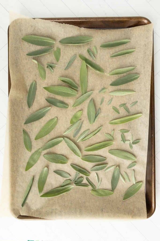 How to Dry Sage - stetted