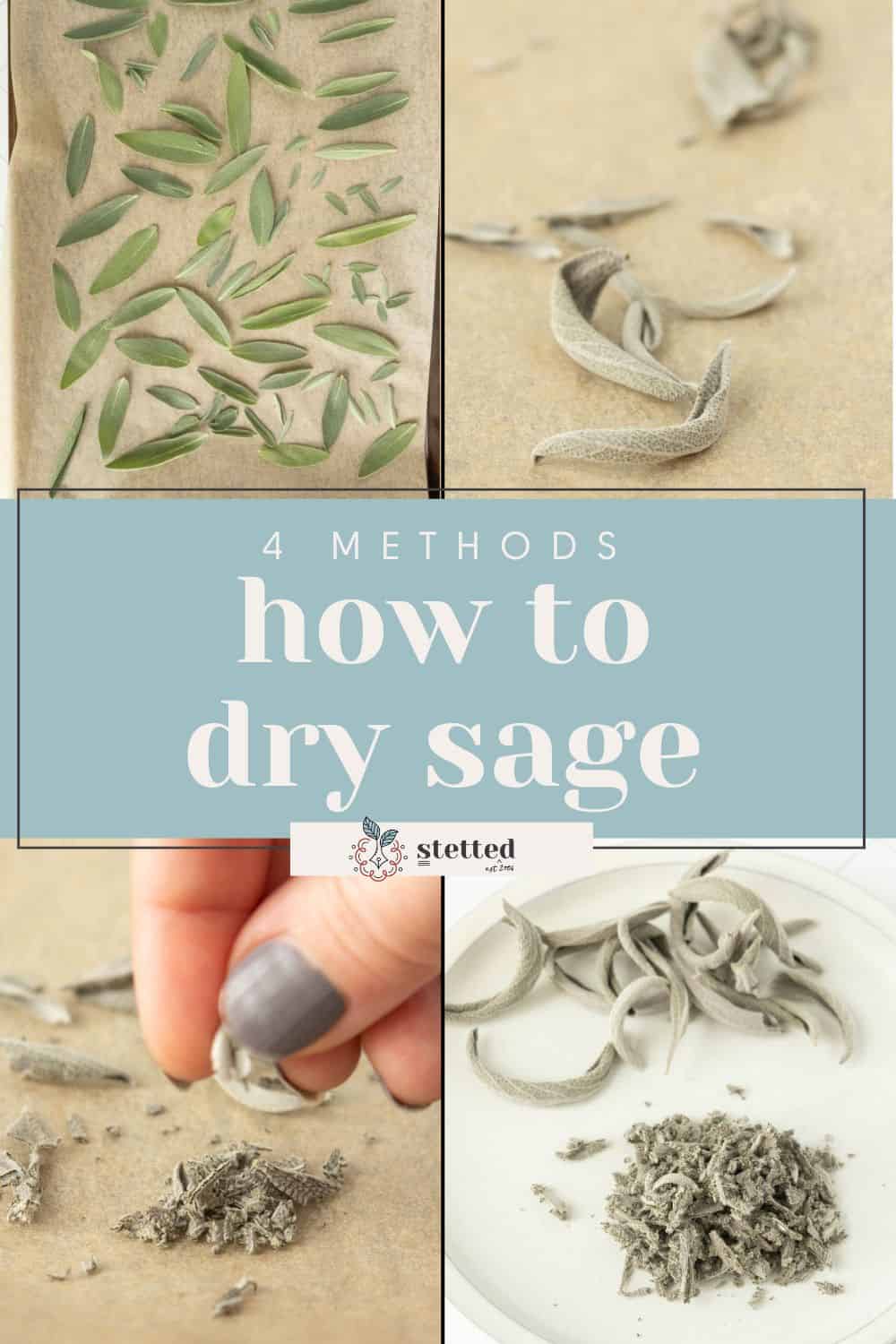 How to Dry Sage - stetted