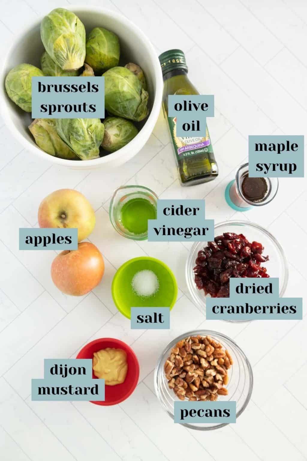 Roasted Brussels Sprout Salad with Apples - stetted