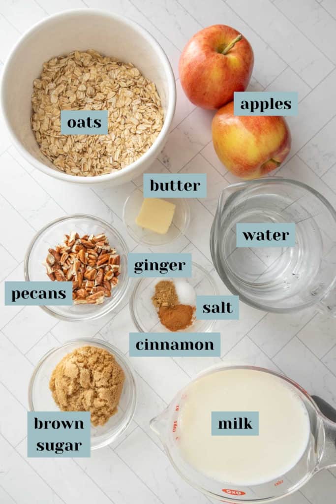 Apple Cinnamon Oatmeal