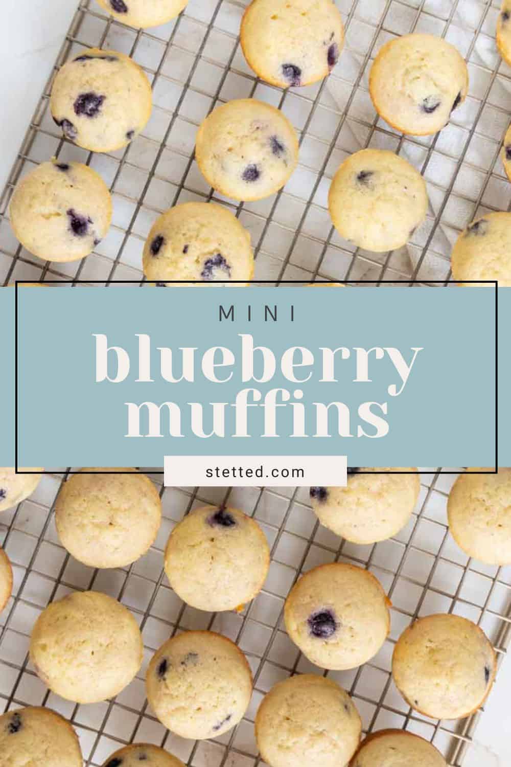 Mini Blueberry Muffins - stetted