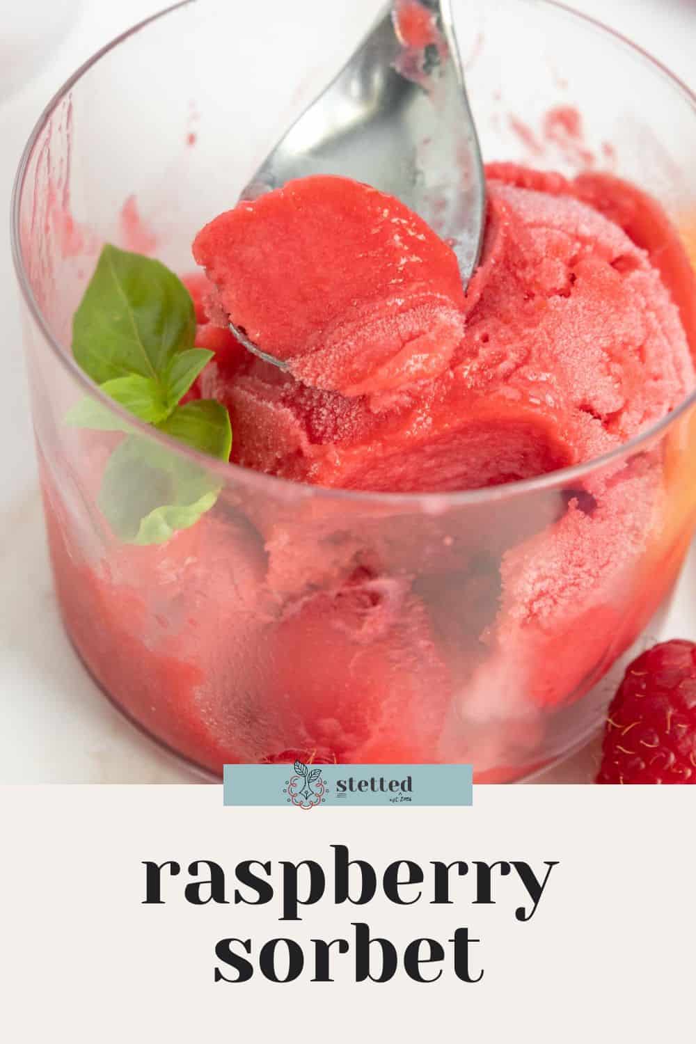 Raspberry Sorbet