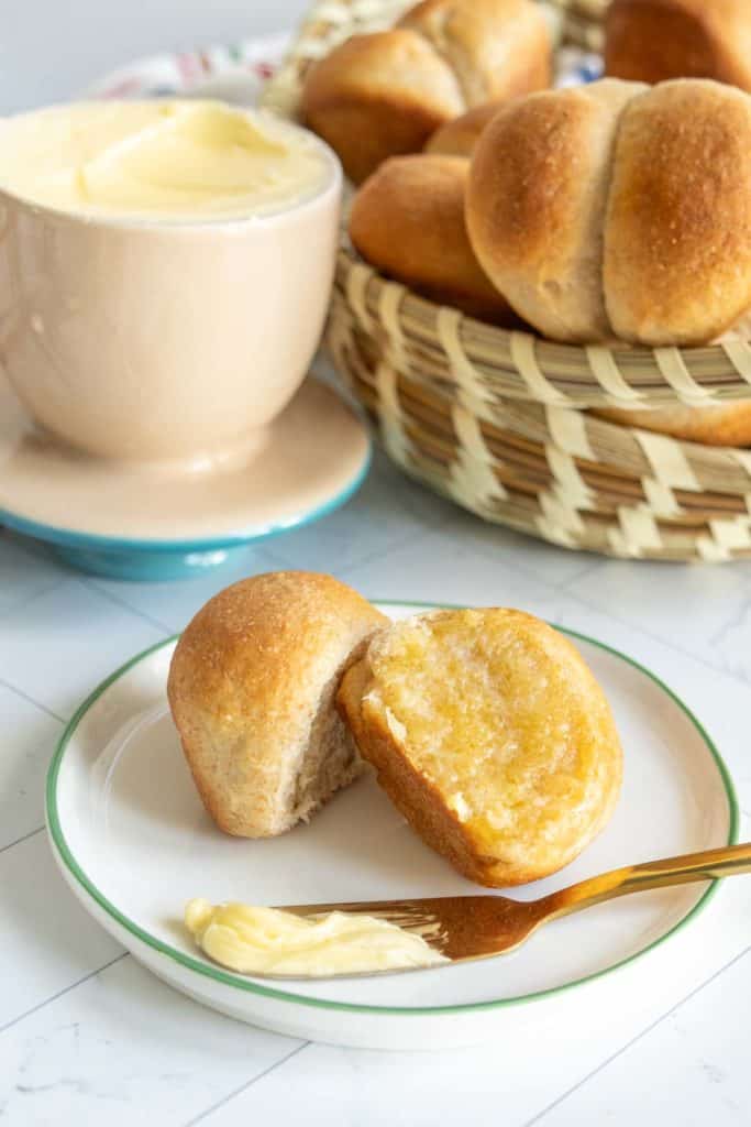 Whole Wheat Rolls - stetted