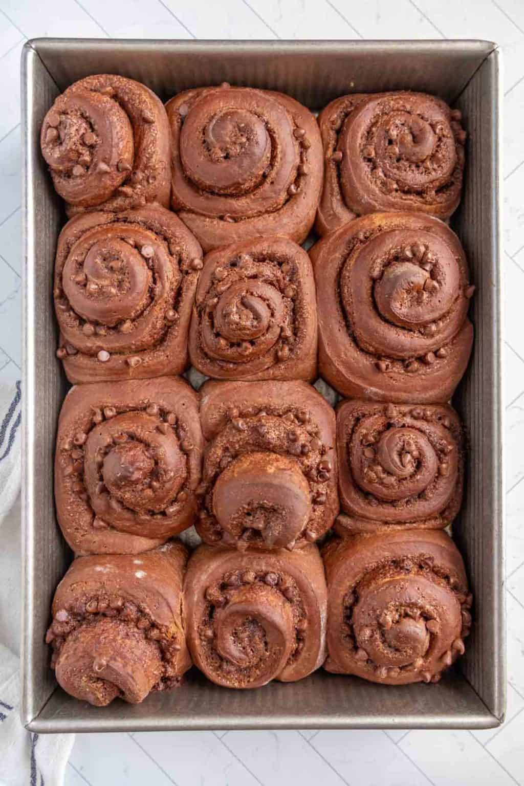 Chocolate Cinnamon Rolls