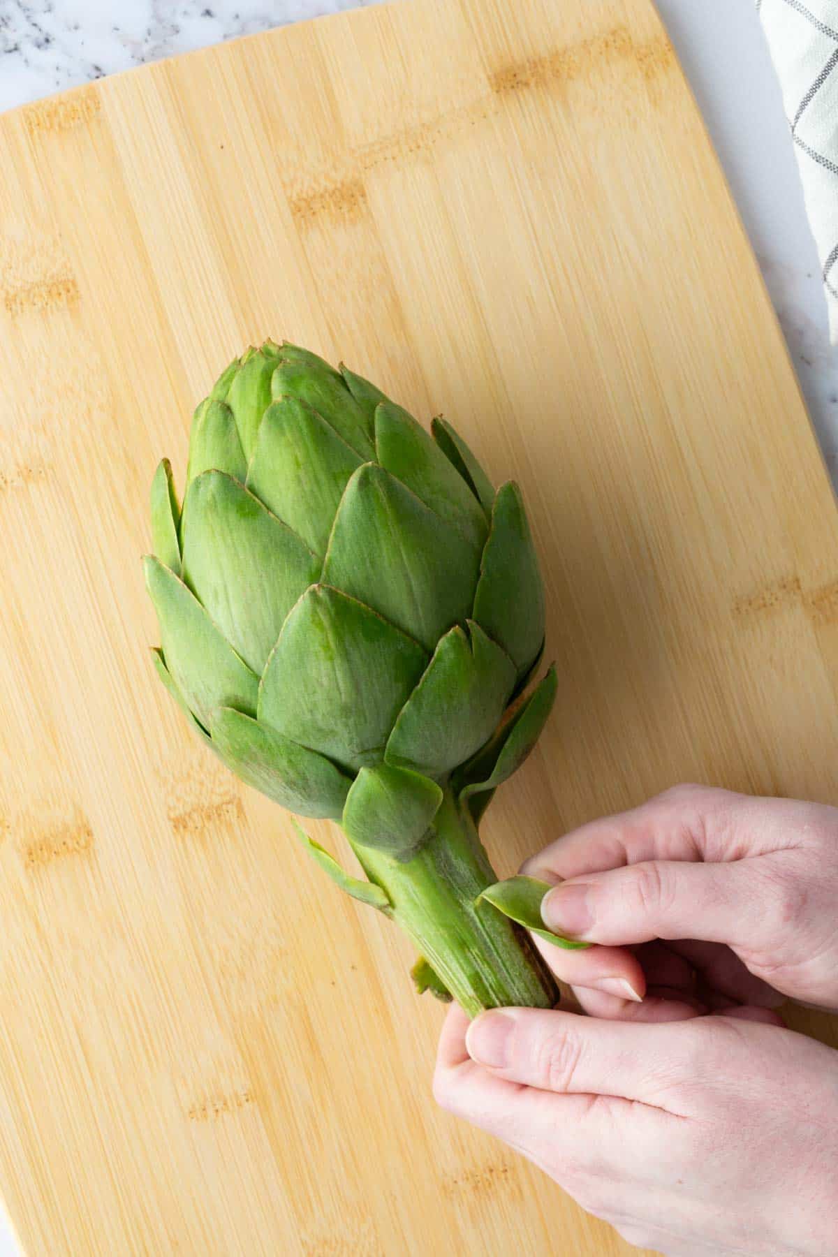 How to Cook Artichokes (Easy Steam Method) - stetted