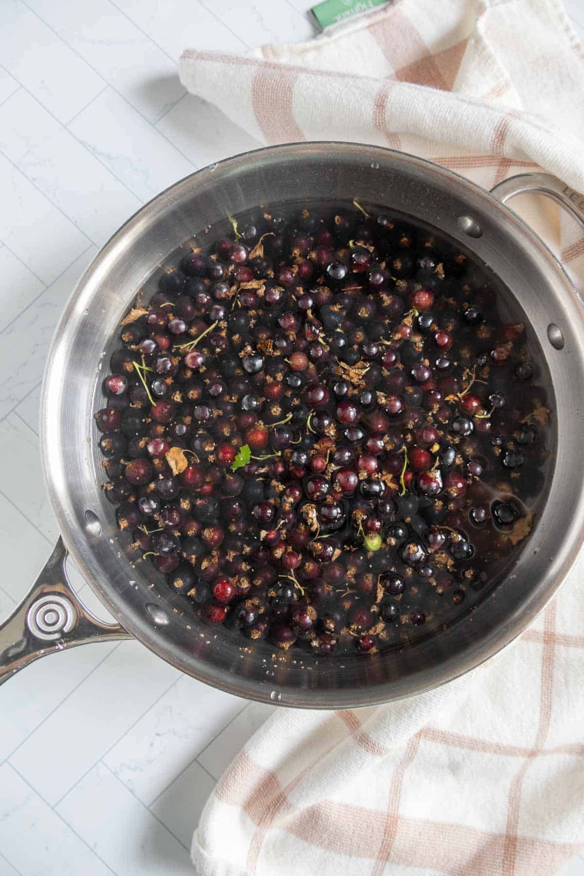 Black Currant Jelly - stetted